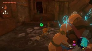 Zelda Tears of the kingdom (Yuzu-EA-3798) на Русском