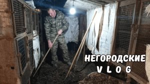 Чищу навоз. Илья дрессирует ТУМАНА. Ужин НУТРИЙ. 28.04.25