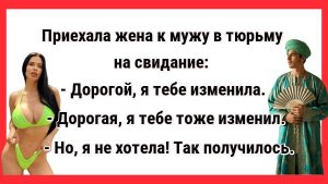 Приехала жена к мужу в тюрьму на свидание. Свежие Анекдоты! Свежие Анекдоты! Юмор! Смешные анекдоты