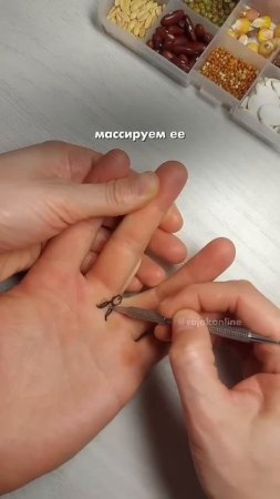 29 апреля 2025 г.