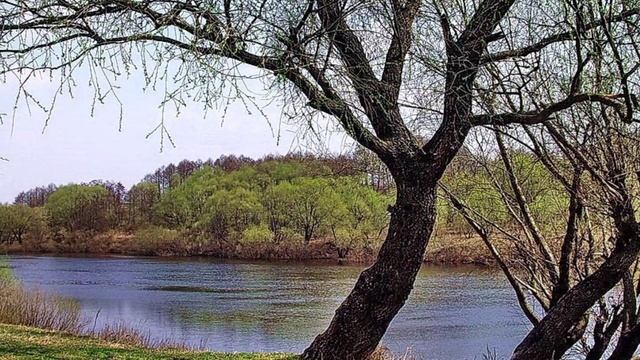 "БОЛЕЗНЕННАЯ ЛЮБОВЬ"... (Фото Игоря БАРАНОВА (Рязань), музыка - Oystein SEVAG (Норвегия)