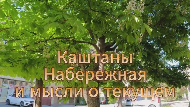 Анапа. Каштаны, набережная и мысли о текущем...