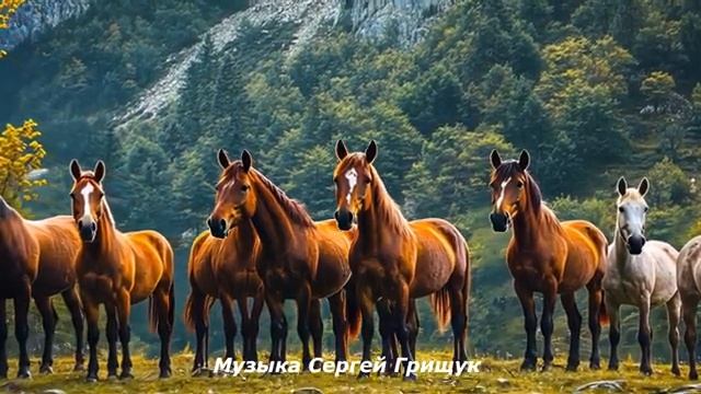 Музыка  Для  Души  ,,ЭХО ВЕЧНОСТИ ,, Музыка  Сергей  Грищук #КРАСИВАЯМУЗЫКА  #музыкасергейгрищук