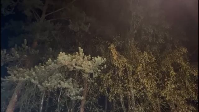ВСЯ ЖИЗНЬ ВО ИМЯ ЛЮДЕЙ… ((ВЕДЬМИНА ИЗБА ▶️ ИНГИ ХОСРОЕВОЙ)) (2025)