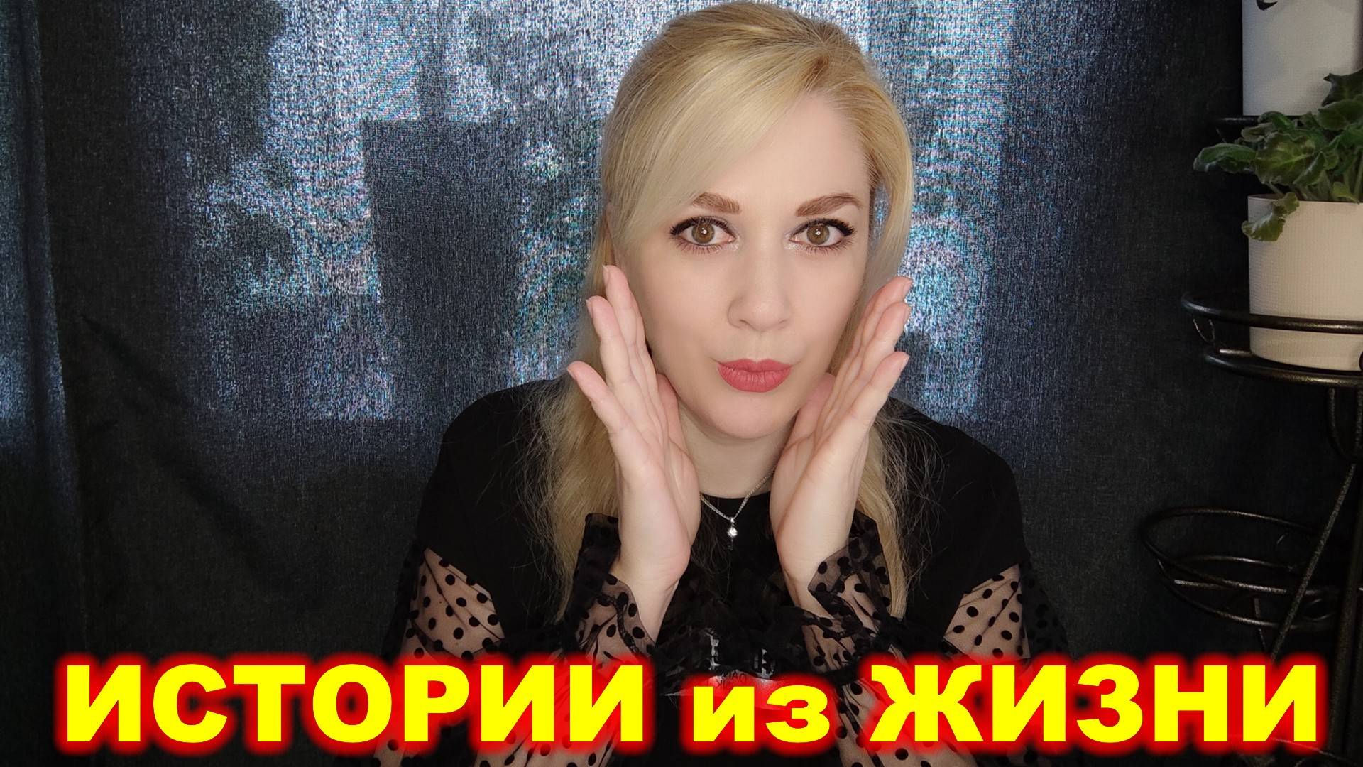 Истории из жизни. Про корову, которая меня напугала