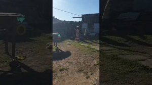 ДЕРЕВЕНСКАЯ ИДИЛЛИЯ: ДЕТИ И КОЗОЧКИ РАДУЮТ ДУШУ 🐐🌞
