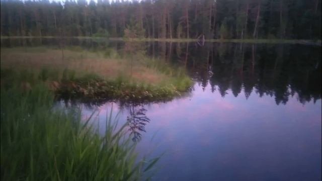 Глухое_2020_07_06