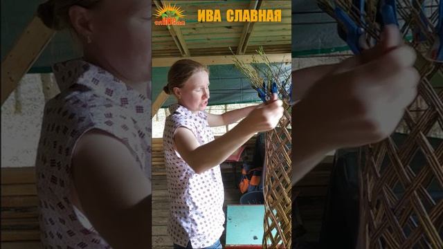 🌿 Обзор за неделю (21.04.2025)