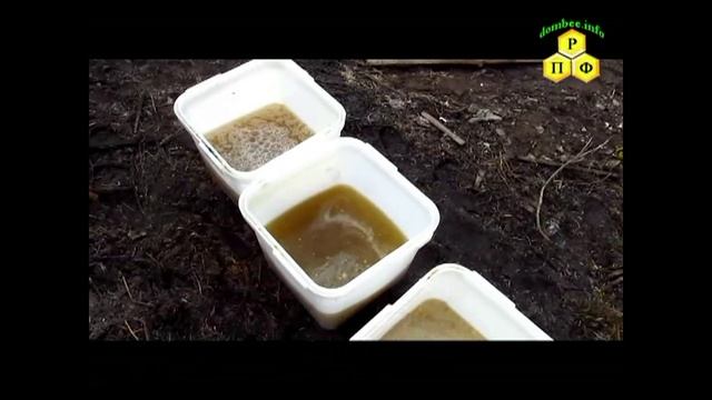Медовый сироп после вымочки срезков забруса