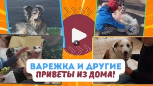 Радуемся, что они живы!
