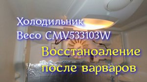 Холодильник Beco CMV533103W. Восстановление после варваров