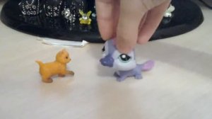 Мой кот любит хип хоп
