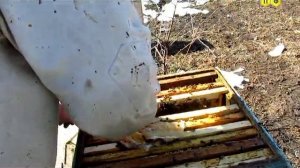 Осмотр отводка после зимовки