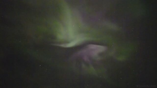 Северное сияние в ночь на 17 апреля 2025г (Ленинградская обл., Запорожское), живое видео, часть 2