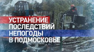 В Московской области коммунальщики устраняют последствия непогоды