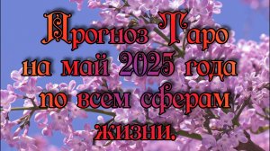 Прогноз Таро на май 2025 года по всем сферам жизни.
