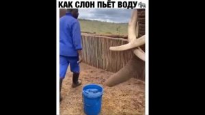 13 МИНУТ СМЕХА ДО СЛЕЗ | ЛУЧШАЯ ПОДБОРКА ПРИКОЛОВ | ЗАСМЕЯЛСЯ ПОДПИСАЛСЯ