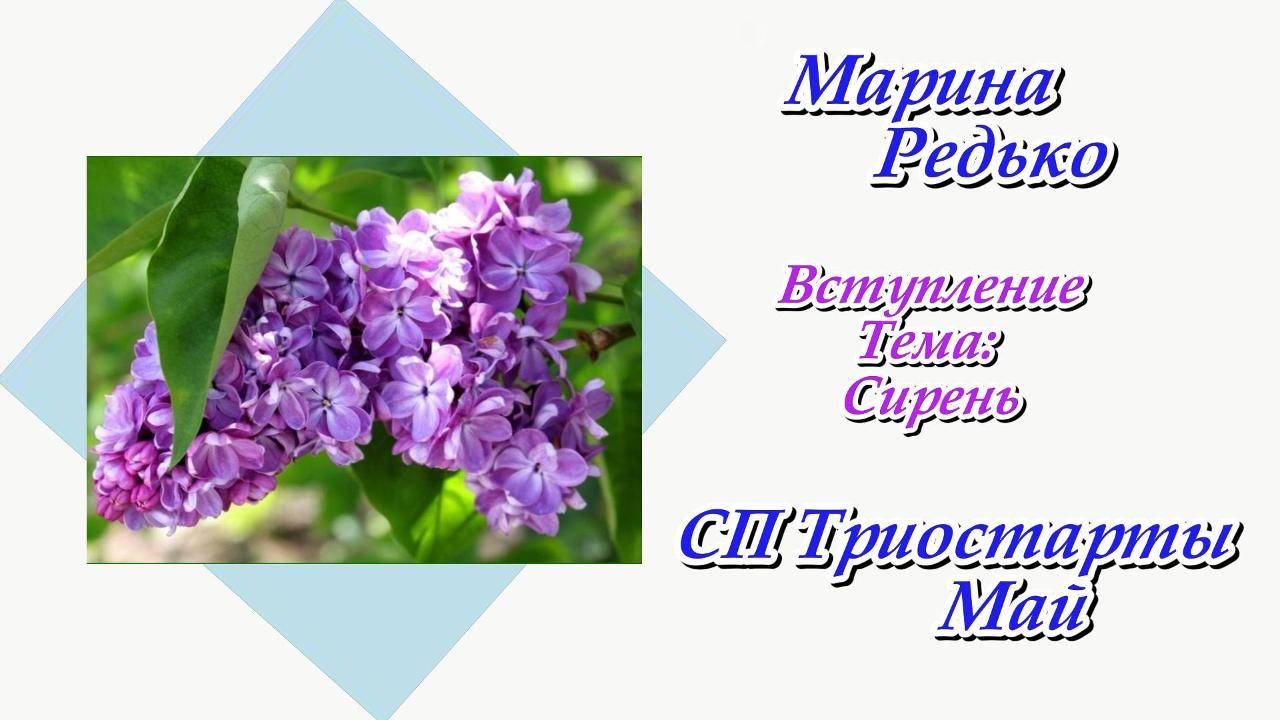 СП "Триостарты" Мая / Вступление
