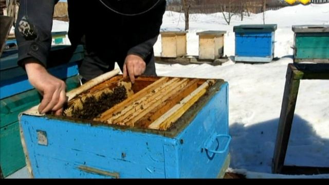 Осмотр отводка после зимовки 2013 года