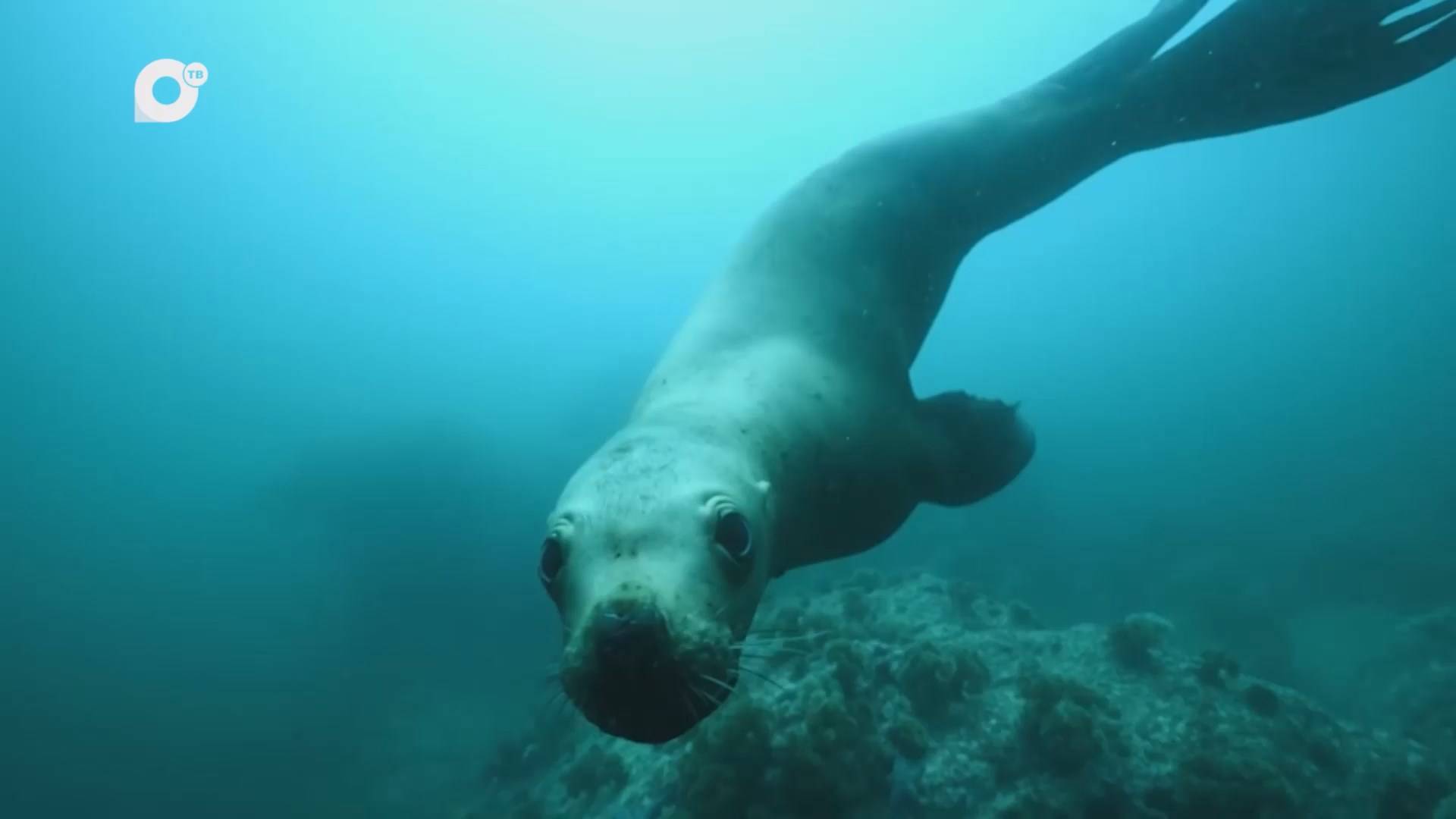 Морская / Море зовёт / 01.05.25
