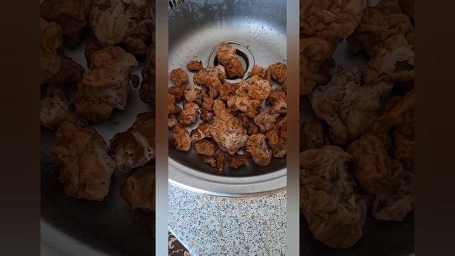 Деревенский привет! Наш обед и сморчки😁
