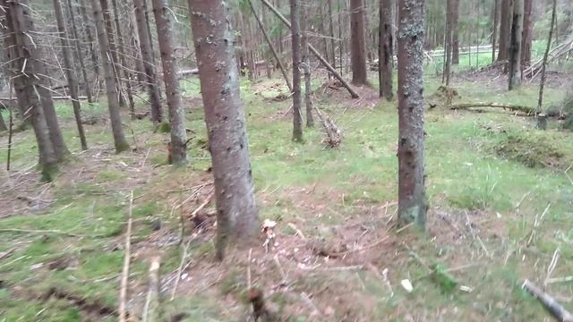 Глухое_2020_07_09