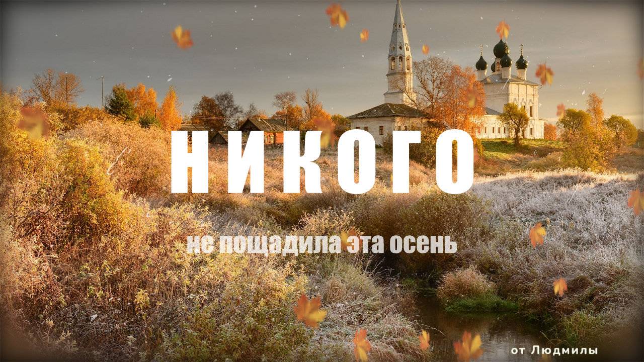 Никого не пощадила эта осень ID 2025-05-02