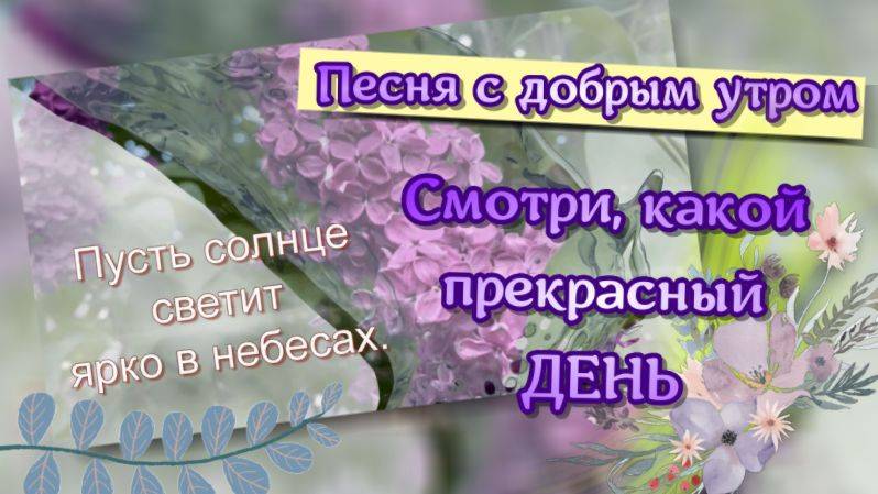 Доброе утро. Смотри, какой прекрасный день, как солнце дарит свет в ответ. Песня с добрым утром