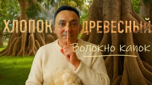 СЕЙБА против ХЛОПКА: Капок - самое легкое волокно в мире