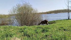 Маленькая деревня в городе. Чясть 2.