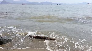 3 мая 2025, вода грязная после штормового