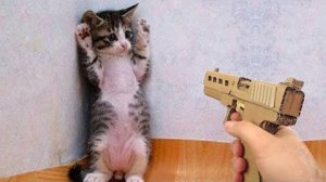 ПРИКОЛЫ С ЖИВОТНЫМИ ДО СЛЕЗ #34 Смешные КОТЫ И СОБАКИ  Приколы
