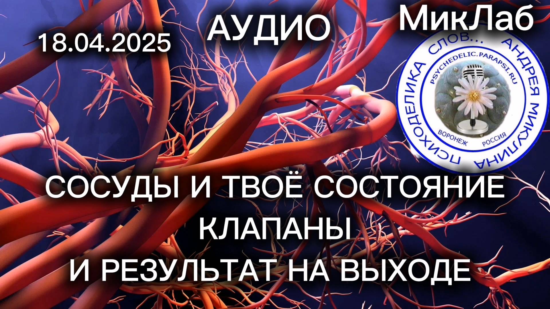 Сосуды и Твоё Состояние. Клапаны и Результат на Выходе. Психоделика Слов. Прямой Эфир с Микулиным