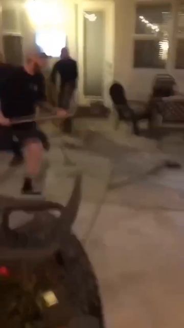 Видео прикол  - А мужики боятся крыс?