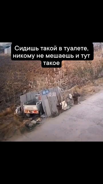 Сижу я как то в туалете