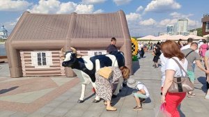 Аренда аттракциона "Дойная корова"