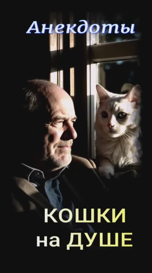 Анекдоты. КОШКИ на Душе у старика  #Shorts