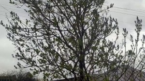 Непогода , слушаем музыку