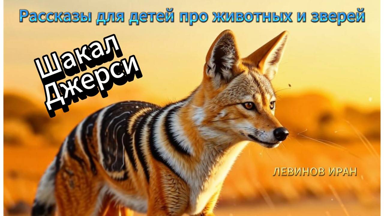 Шакал Джерси. Сказка о хитром шакале Джерси. Рассказы для детей про животных и зверей. Левинов Иран