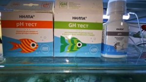 Почему важно правильно переводить аквариумных рыбок на свою воду