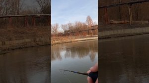 Alkamerka Fish Рыбалка вечером на Тойме