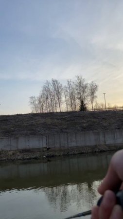 Alkamerka Fish Рыбалка на наноджиг на реке Тойма