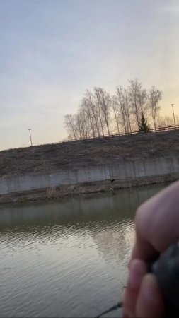 Alkamerka Fish Вновь рыбачу на Тойме на наноджиг