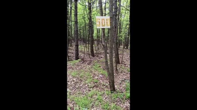 04-05-2025 Тренировка