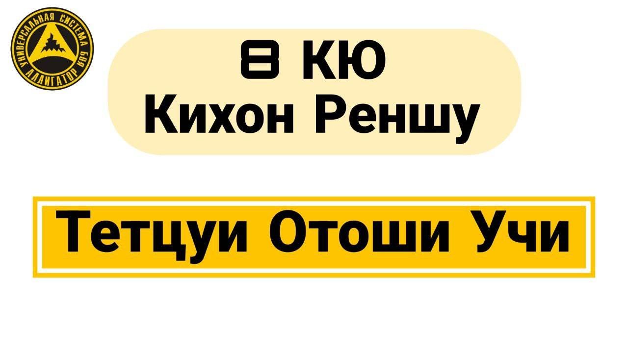 8 Кю Кихон Реншу: Тетцуи Отоши Учи
