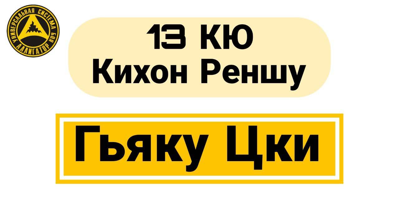 13 Кю Кихон Реншу Гьяку Цки