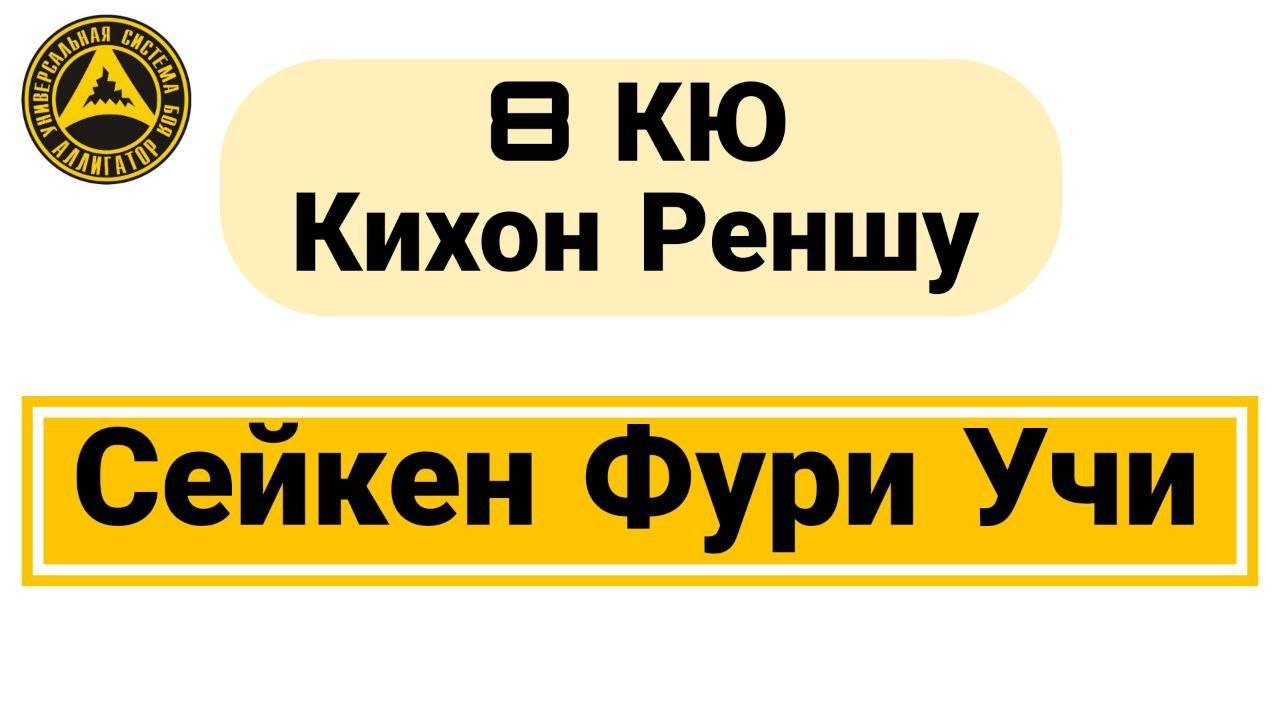 8 Кю Кихон Реншу: Сейкен Фури Учи