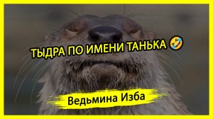 ТЫДРА ПО ИМЕНИ ТАНЬКА 🤣. #ВЕДЬМИНАИЗБА ▶️ #МАГИЯ