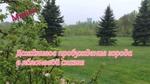 Минск. Дождливое пробуждение города в яблоневой сказке