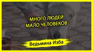 МНОГО ЛЮДЕЙ, МАЛО ЧЕЛОВЕКОВ. #ВЕДЬМИНАИЗБА ▶️ #МАГИЯ